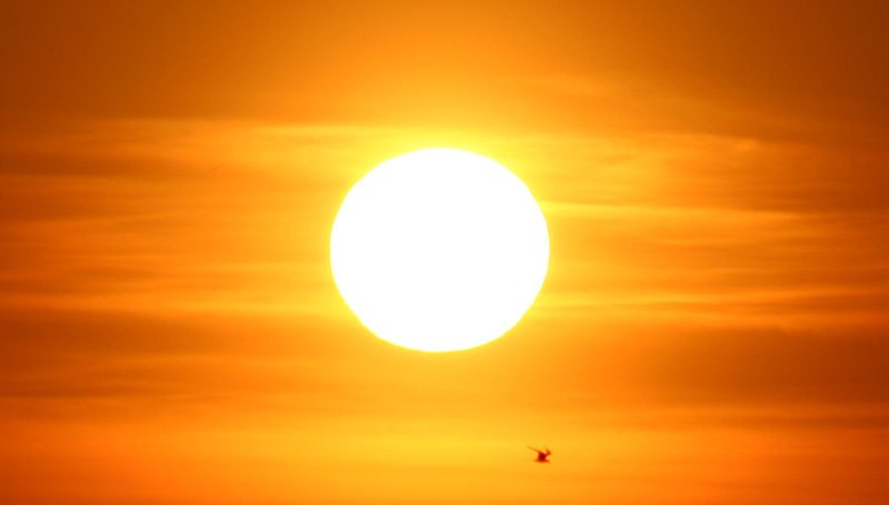 The Sun Is Expected To Be Directly Over Sri Lanka Starting From Sunday