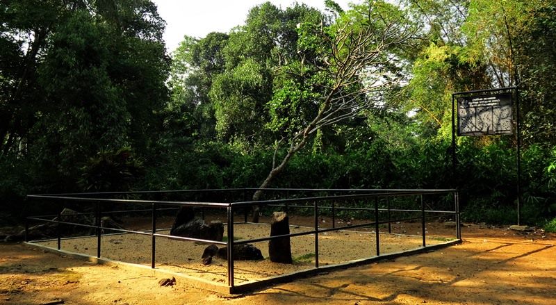 King Seethawaka Rajasinghe - The Monarch Who Suffered From PTSD