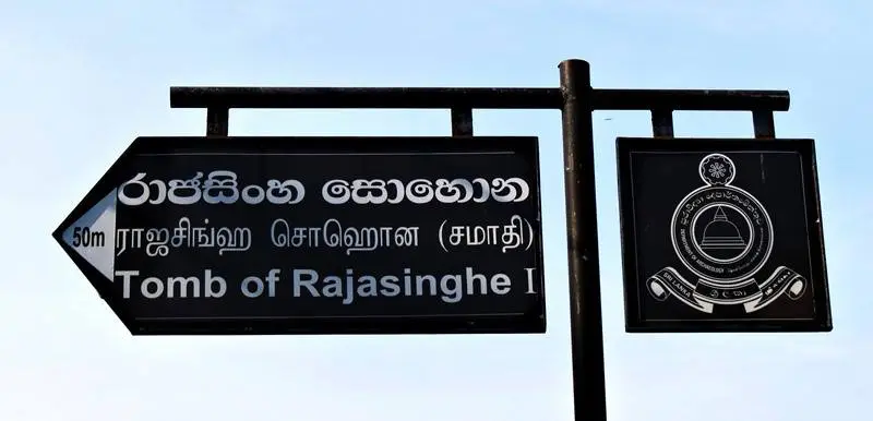 King Seethawaka Rajasinghe - The Monarch Who Suffered From PTSD